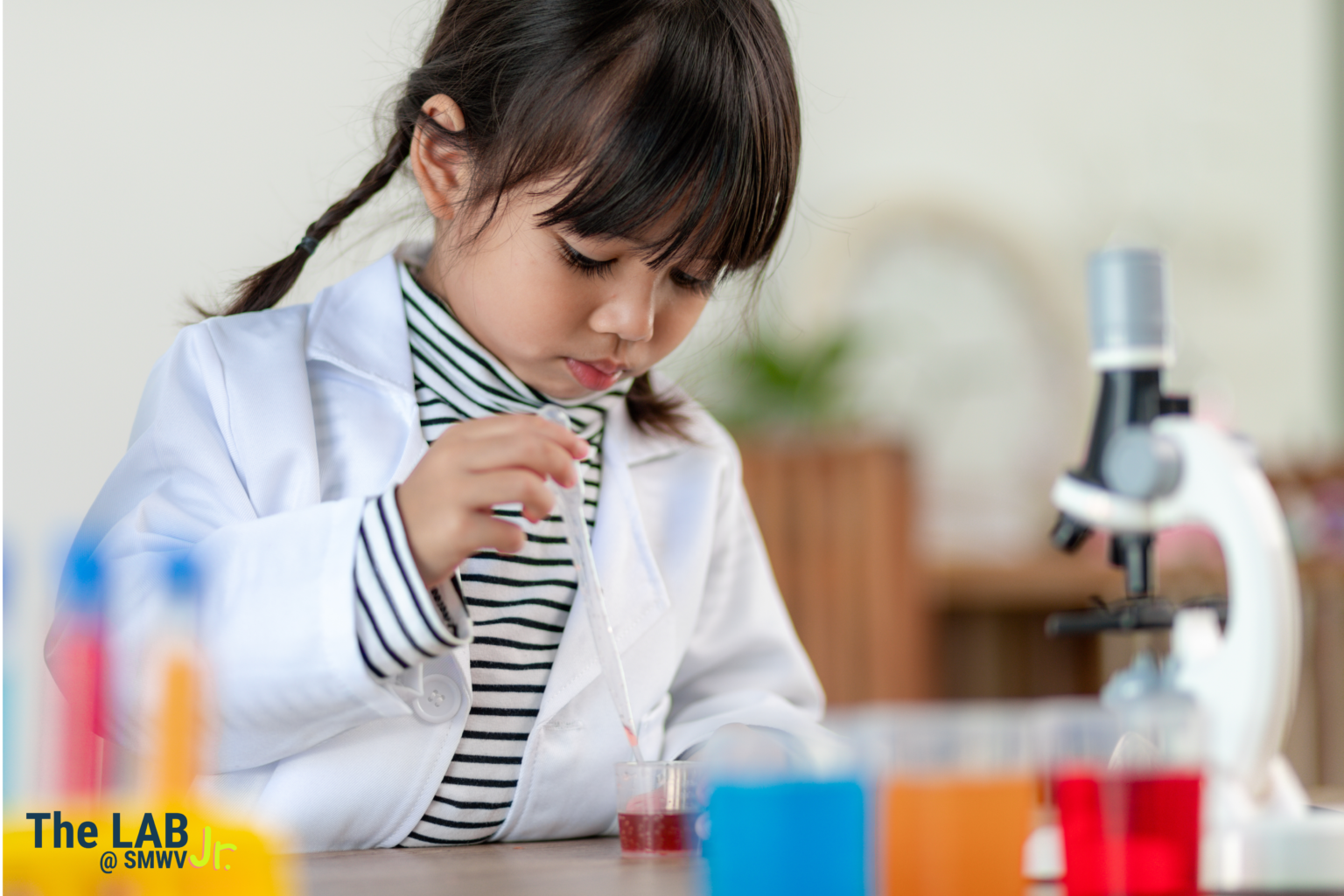 The LAB Jr. - Science Museum of Western Virginia