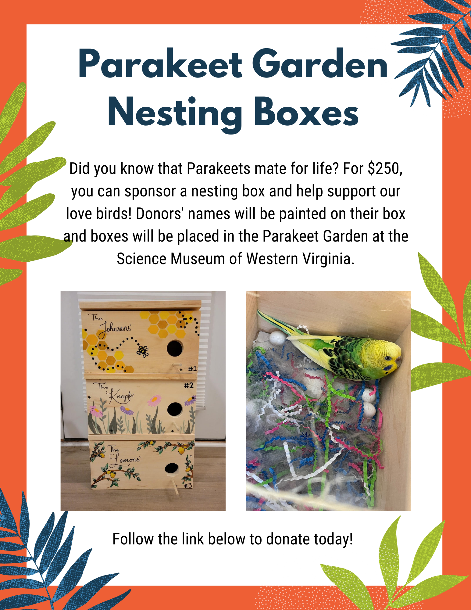 Parakeet Nesting Boxes - Science Museum of Western Virginia